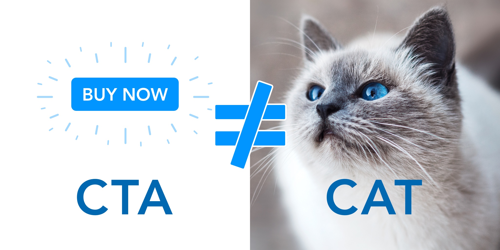 Call-to-Action buttons – the ultimate guide for high-converting CTAs